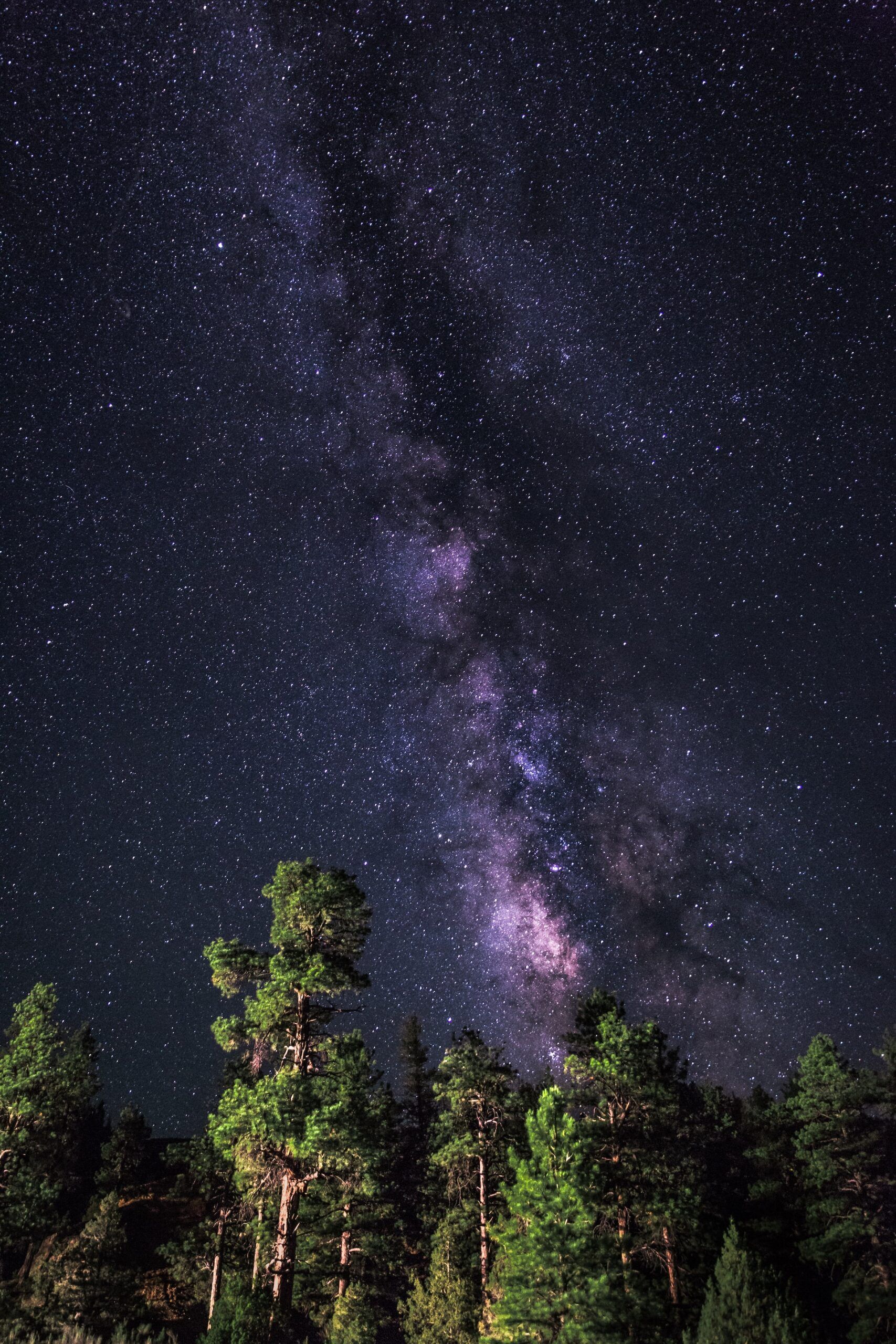 What is Deep Network Observability? – Plixer